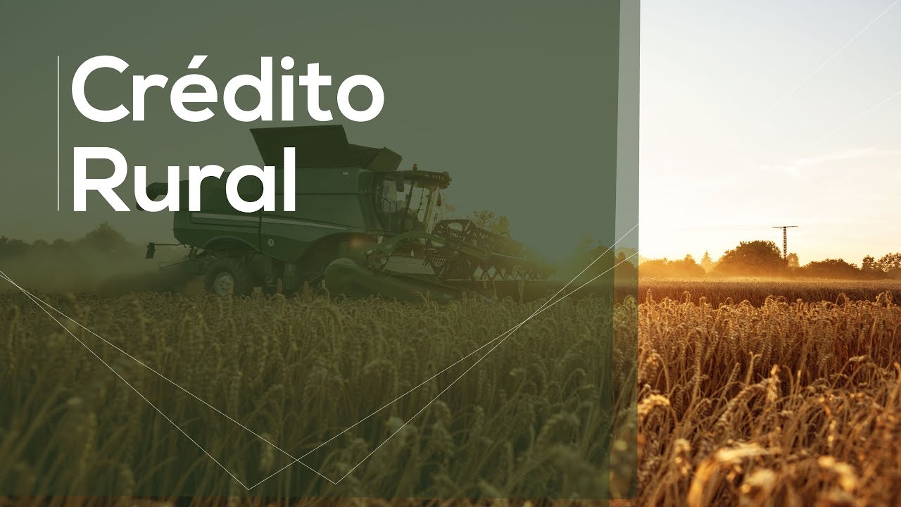 Conheça os tipos de crédito rural disponíveis para agricultores - Visão ...